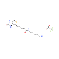 288259-39-2 Cas No. | 5-(Biotinamido)pentylamine nTFA | Apollo